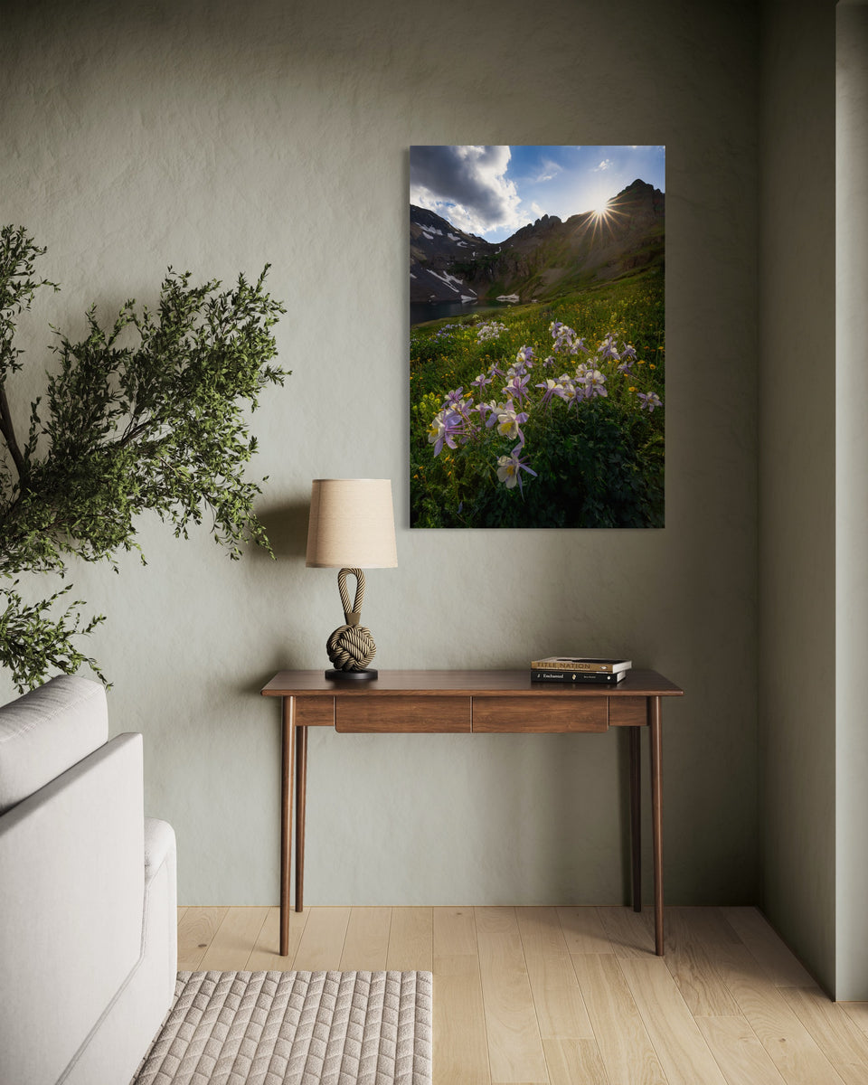 Setting of The Peaks: Colorado: Blooming Columbines: Alpine: Fine Art ...