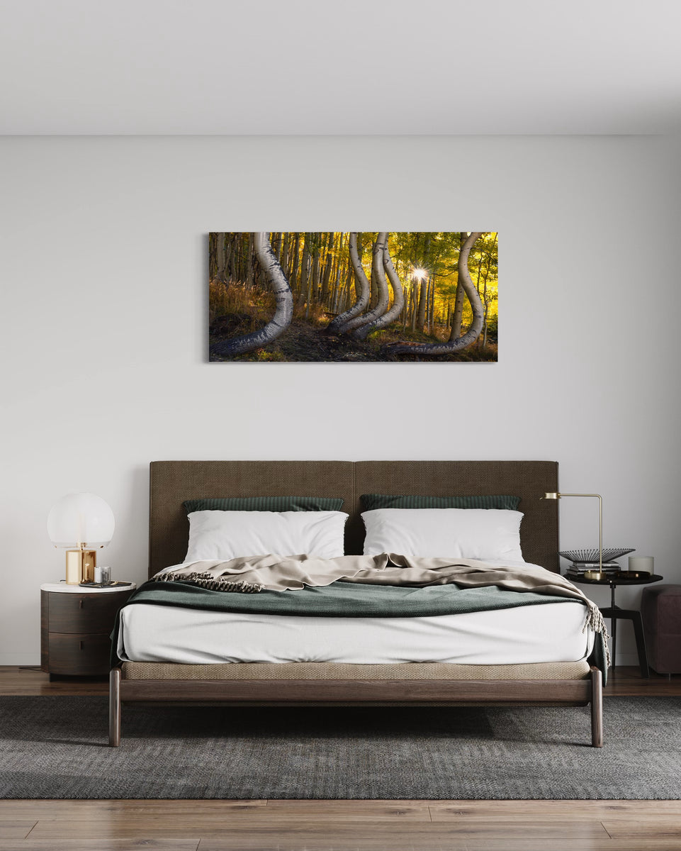 Swervy Curveys – Tim Baca Photography