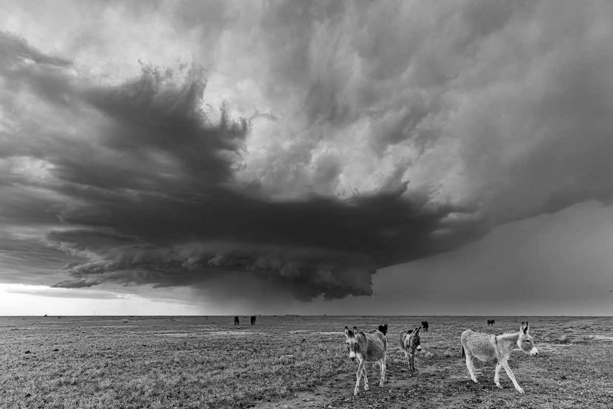 About the Photographer – Tim Baca Photography